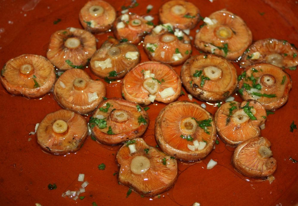 Robellones al horno – Cocinando con Marieta